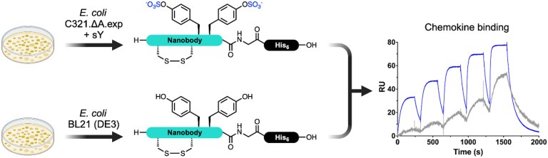 Publications – Payne Research Group
